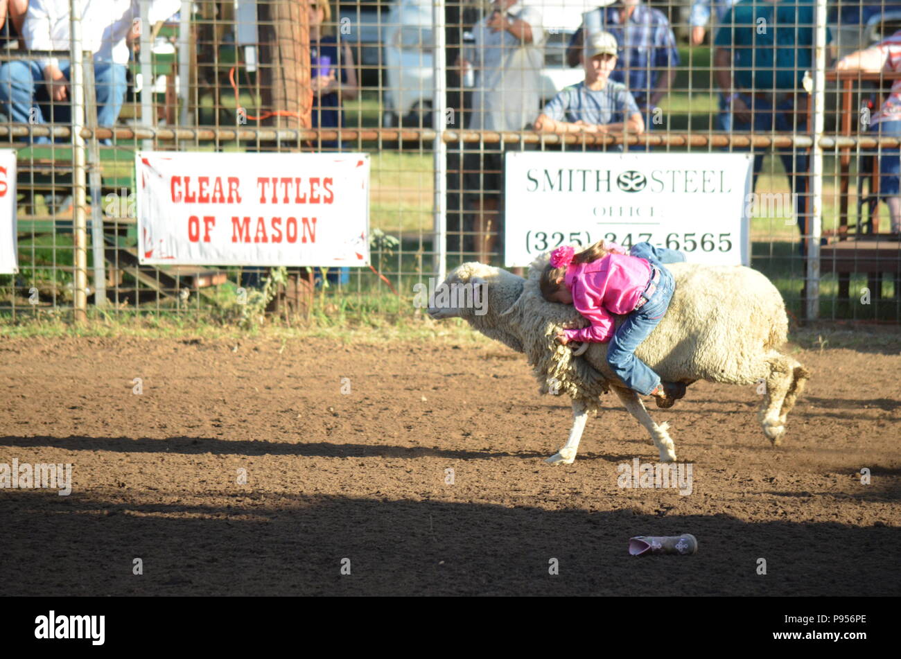Mason, Texas. 14th July 2018. Girls competing in Mutton Busting, where ...