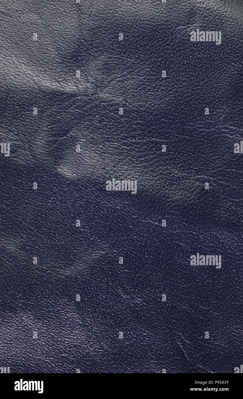 Vertical skin folds hi-res stock photography and images - Alamy