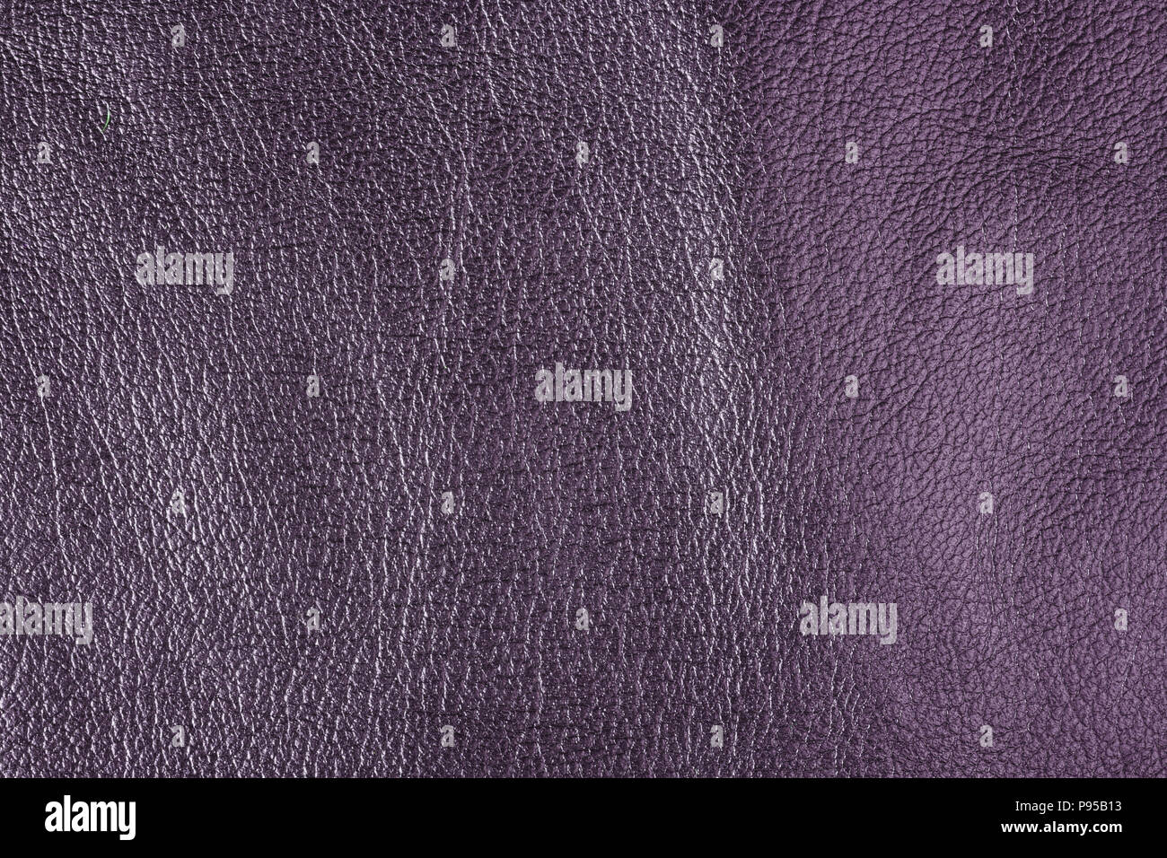 Violet leather texture hi-res stock photography and images - Alamy
