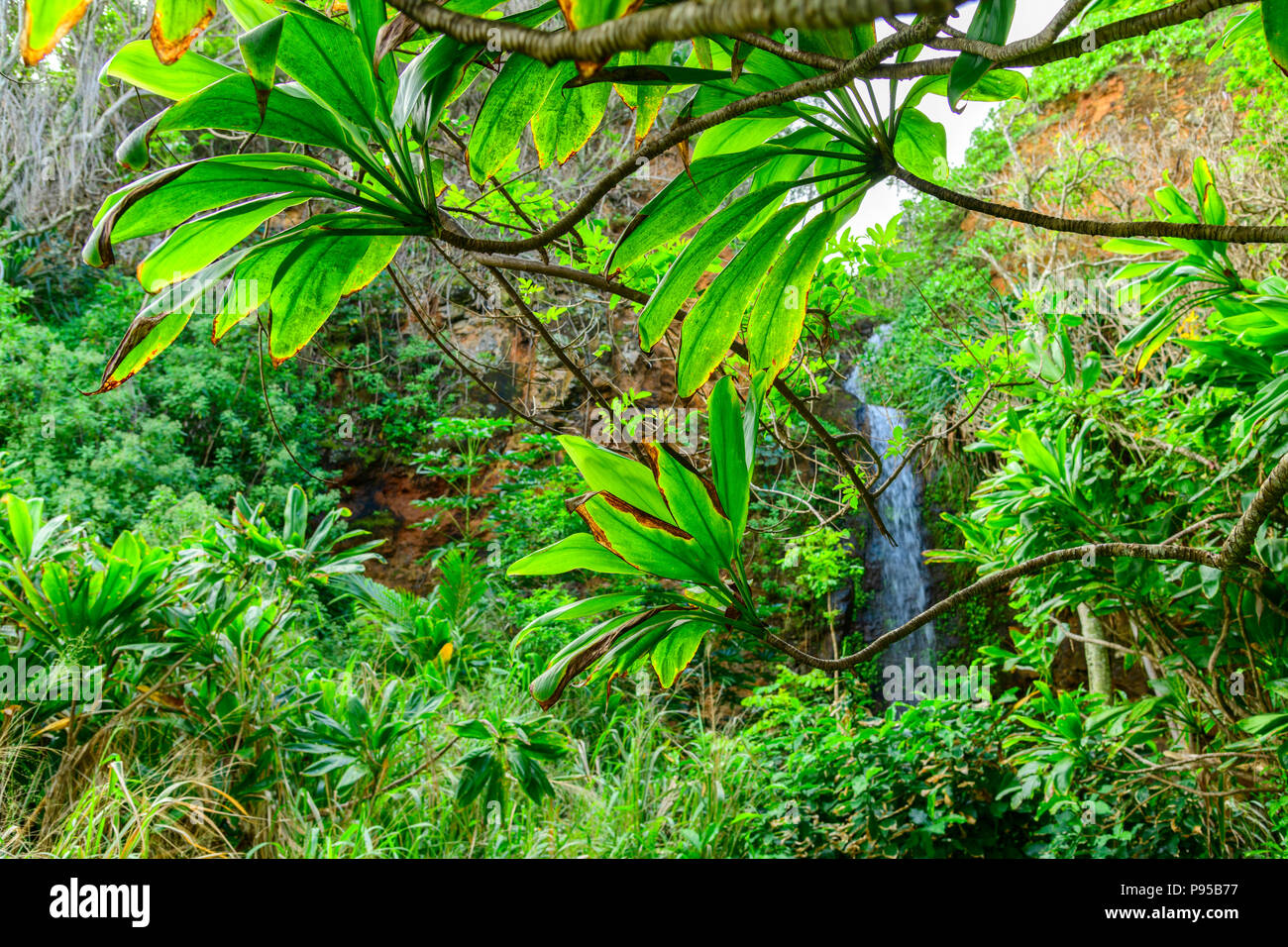 Tropical island coastal waterfall hi-res stock photography and images ...