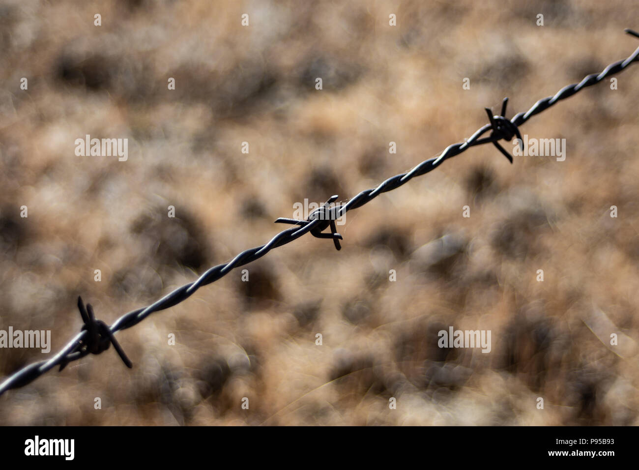 barbed wire fence line Stock Photo - Alamy