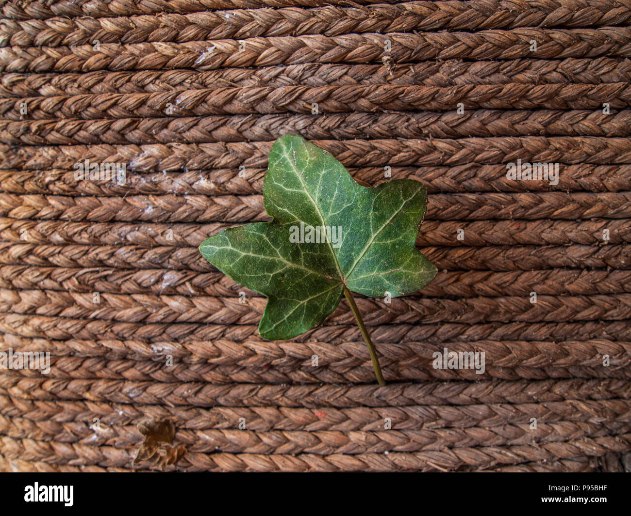 Vegetal fibers hi-res stock photography and images - Alamy