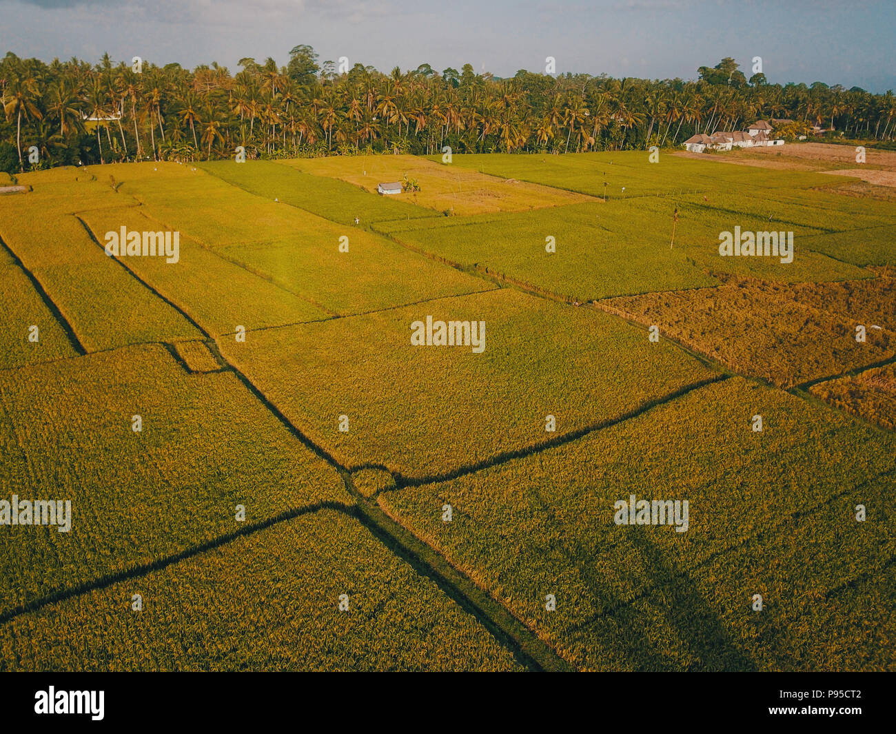 great landscape of Bali, indonesia Stock Photo - Alamy