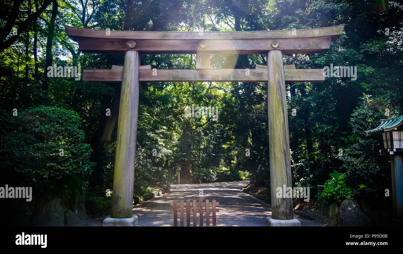 Vibe of tokyo hi-res stock photography and images - Alamy