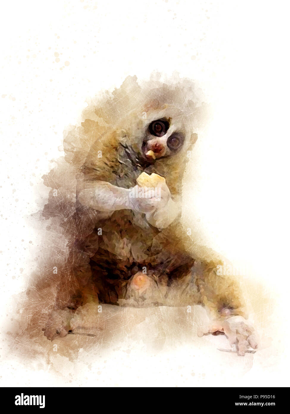 Abstract Beautiful Slow lorises, Lorises, Nycticebus or Kukang on ...