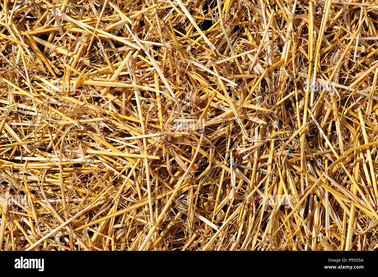 Stable litter hi-res stock photography and images - Alamy