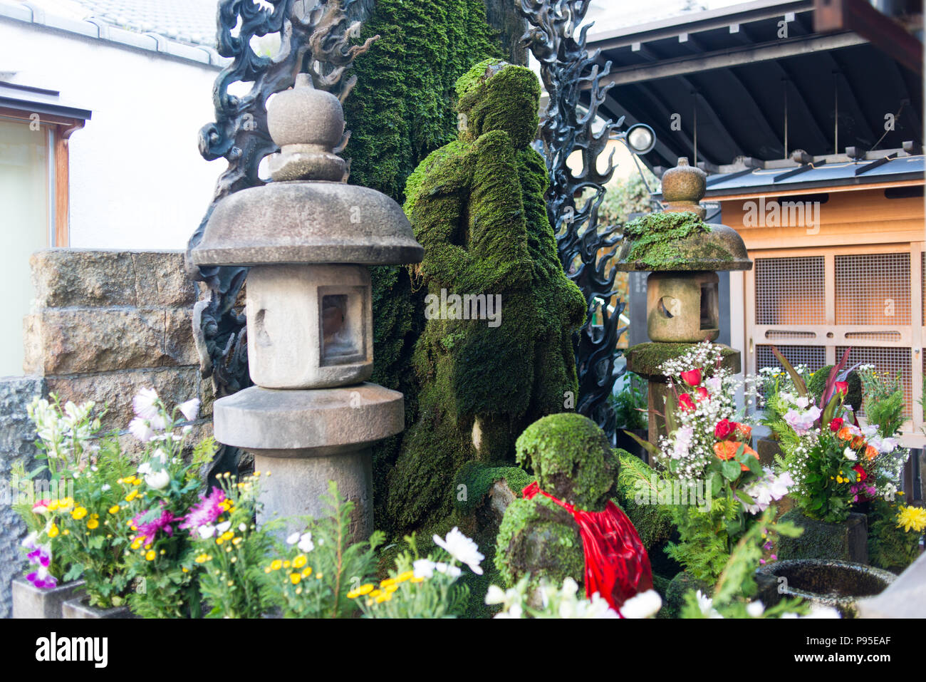 lichen Buddha of Hozen-ji Temple in Japan Stock Photo - Alamy