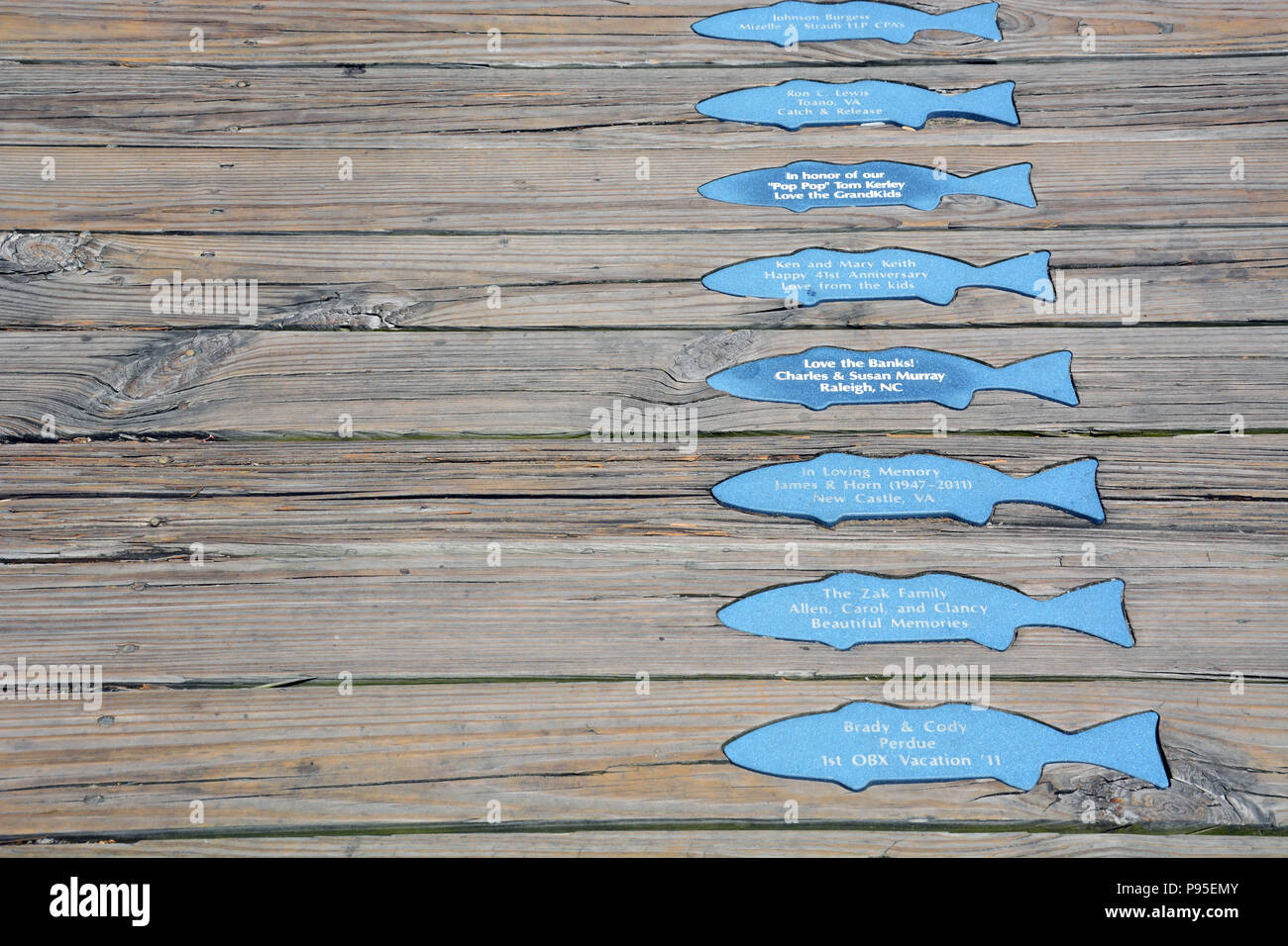 Some of the blue donor fish plaques embedded in the pier decking at ...