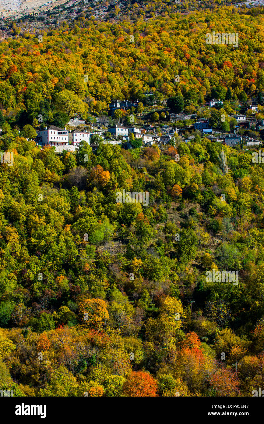 Mikro papigo hi-res stock photography and images - Alamy