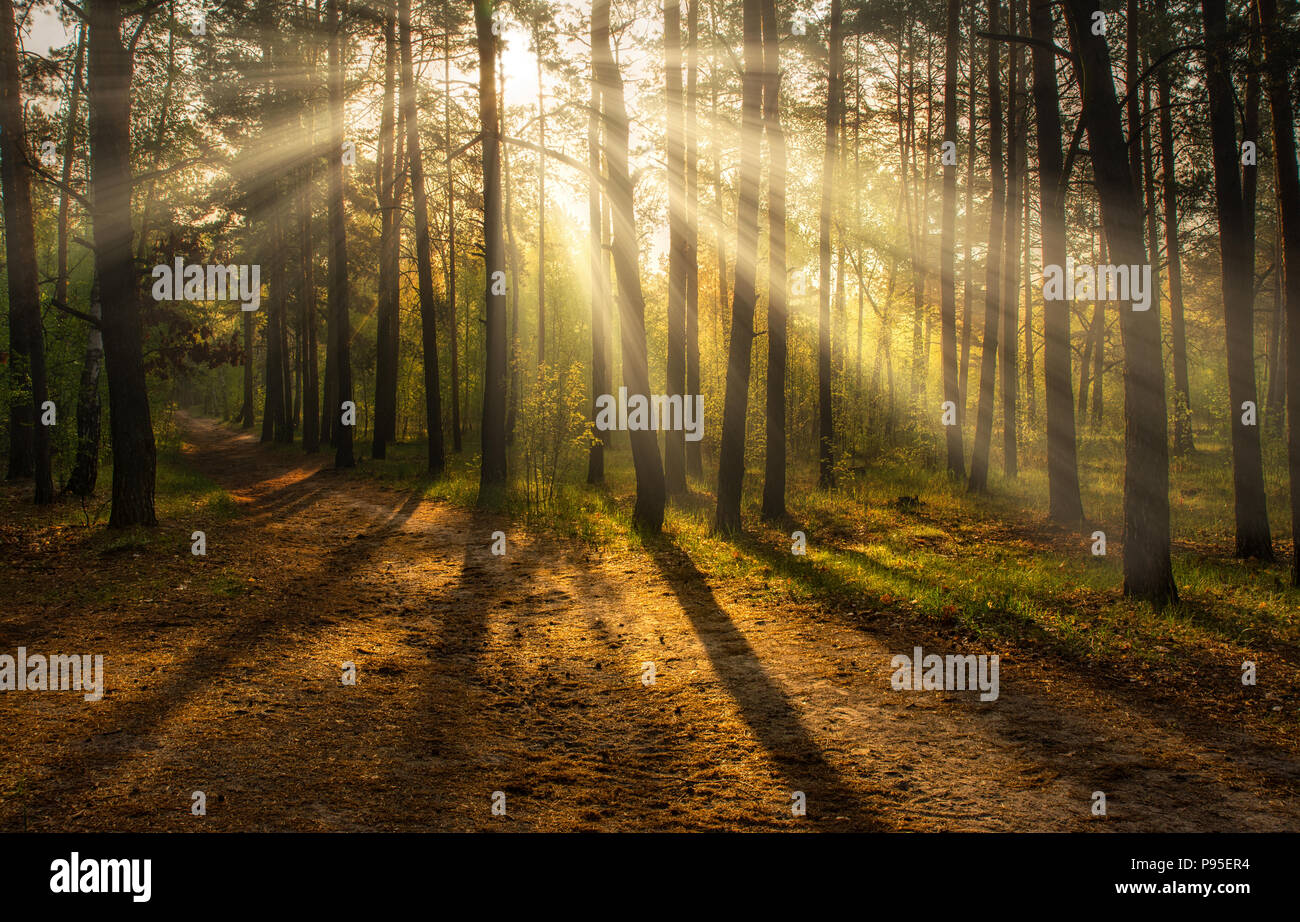 Colors of rays hi-res stock photography and images - Alamy