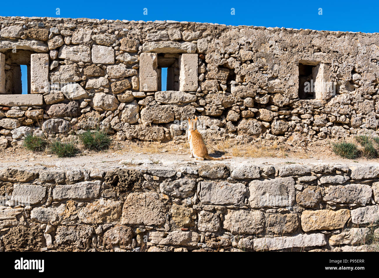 Crete cats hi-res stock photography and images - Alamy