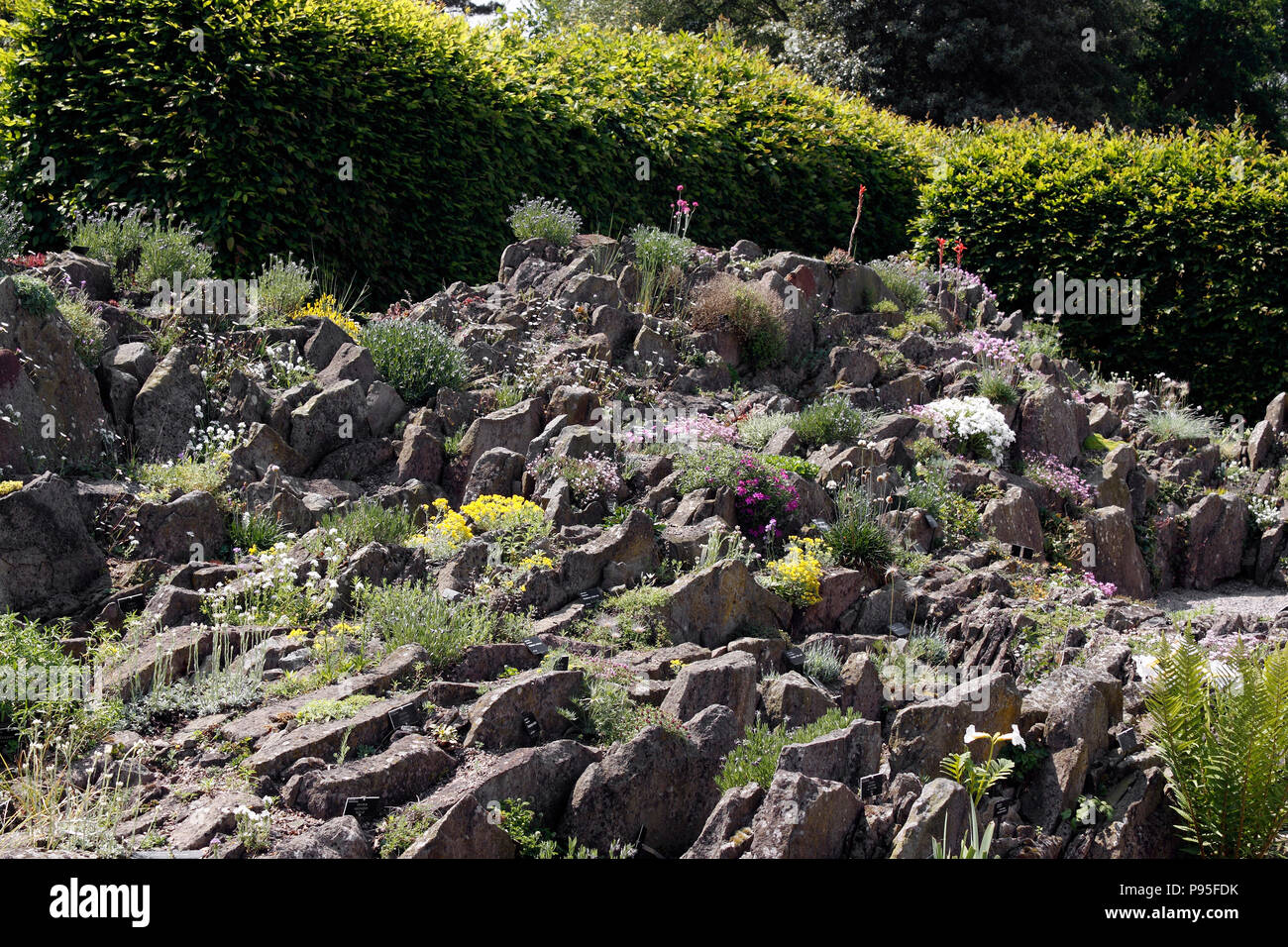 Rock feature garden flowers hi-res stock photography and images - Alamy