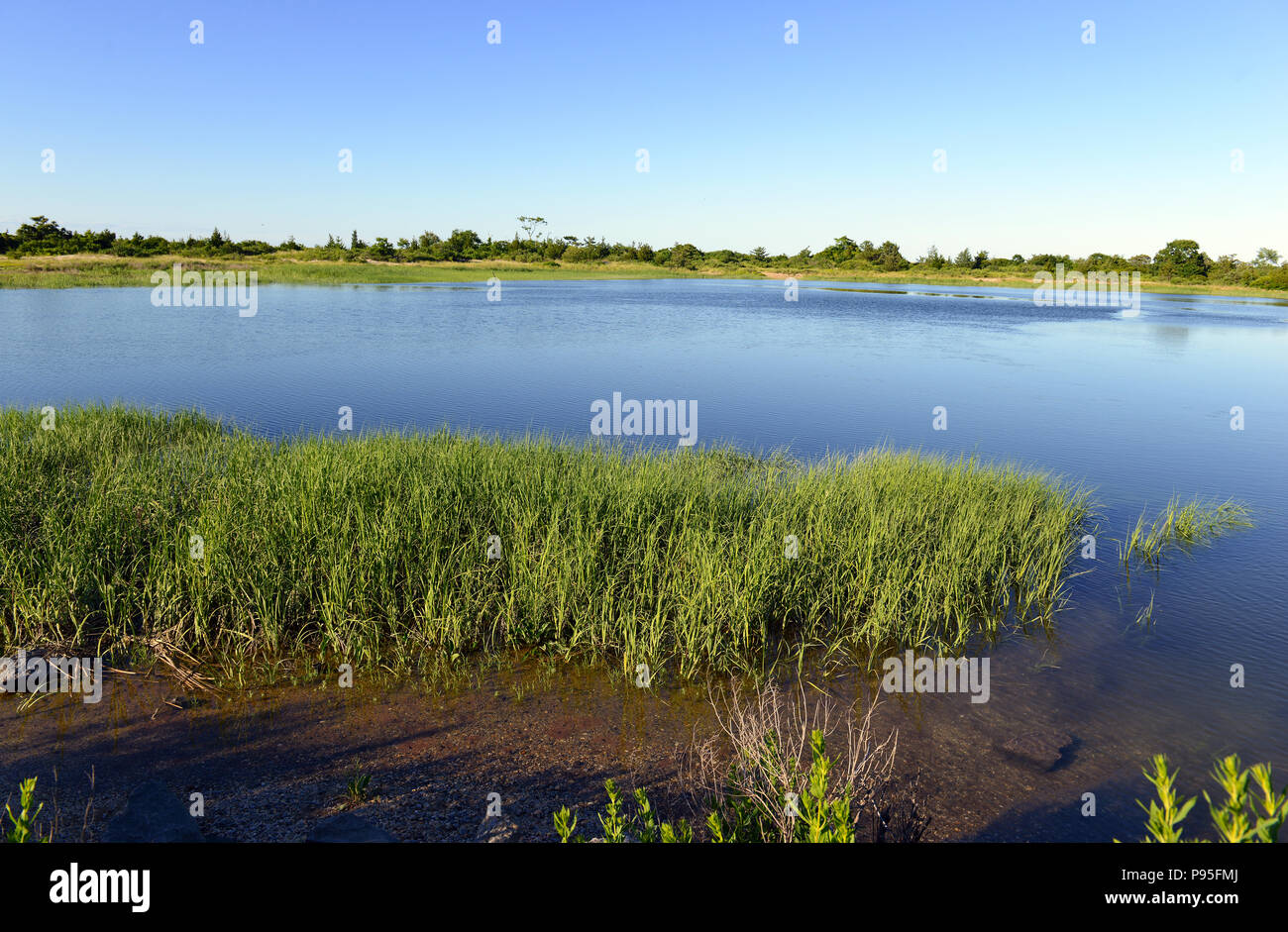 Coastal scene with sand beach near river mouth and estuary, a fragile ...