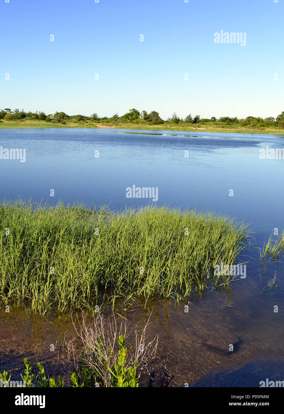 Coastal scene with sand beach near river mouth and estuary, a fragile ...