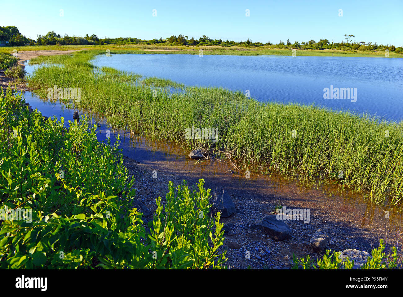 Coastal scene with sand beach near river mouth and estuary, a fragile ...