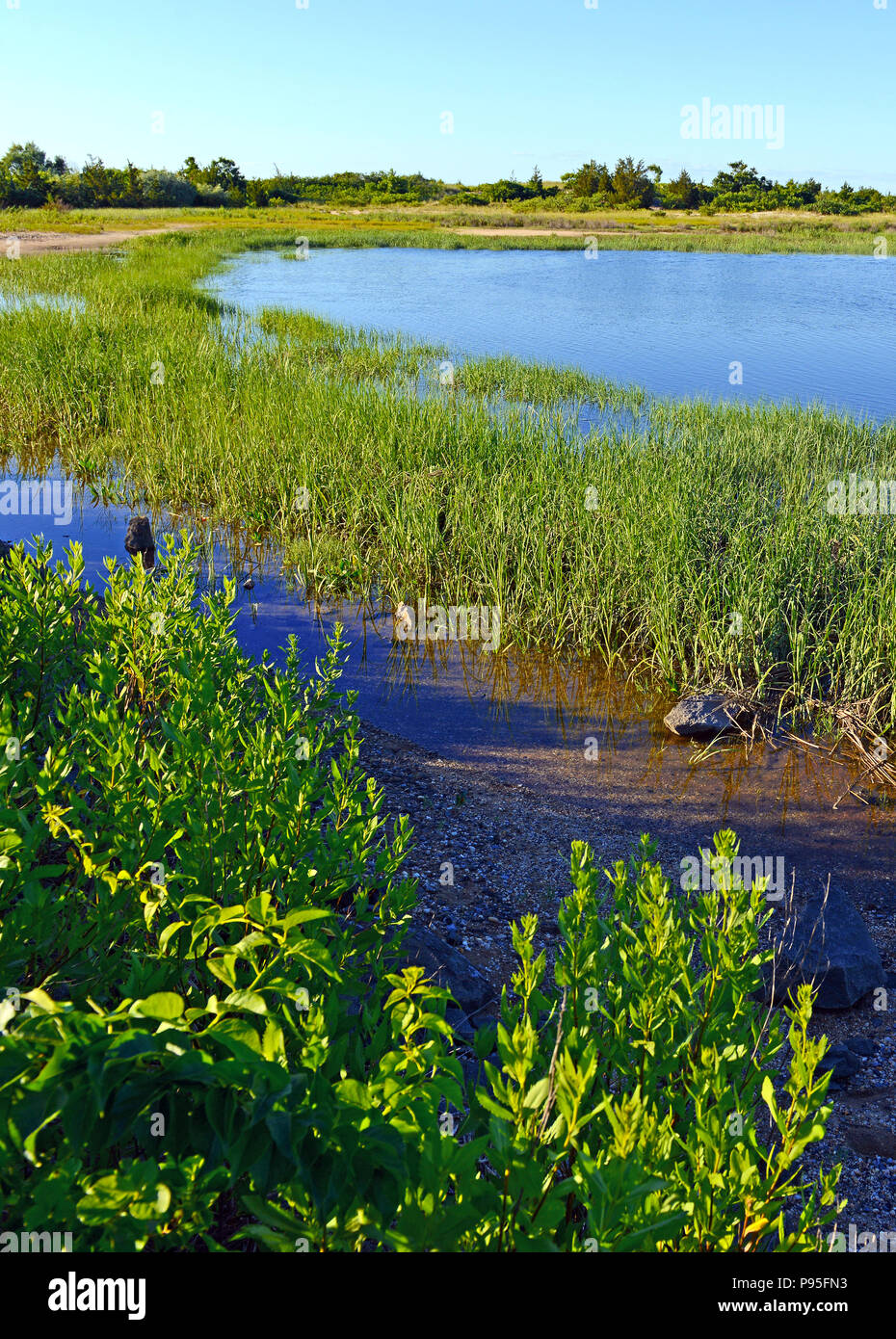 Coastal scene with sand beach near river mouth and estuary, a fragile ...