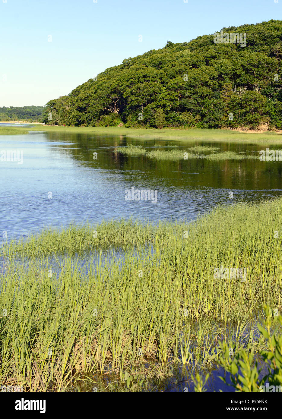 Coastal scene with sand beach near river mouth and estuary, a fragile ...