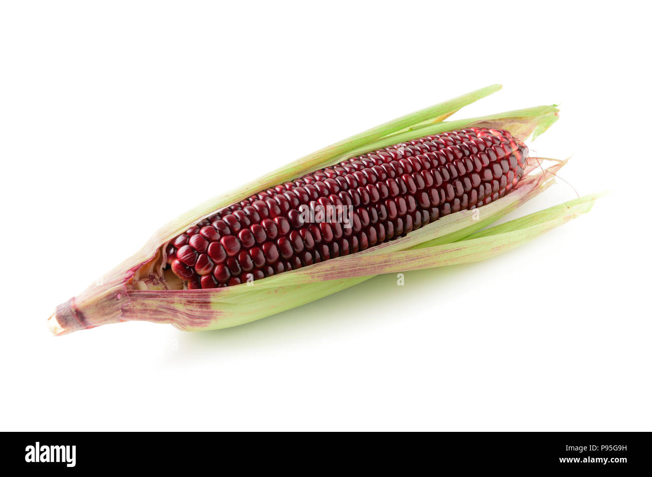 Siam Ruby Queen Corn isolated on white background, Can be eaten fresh ...