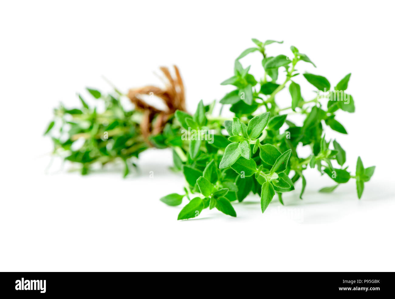 Thyme fresh herb closeup isolated on white background. It is an ...