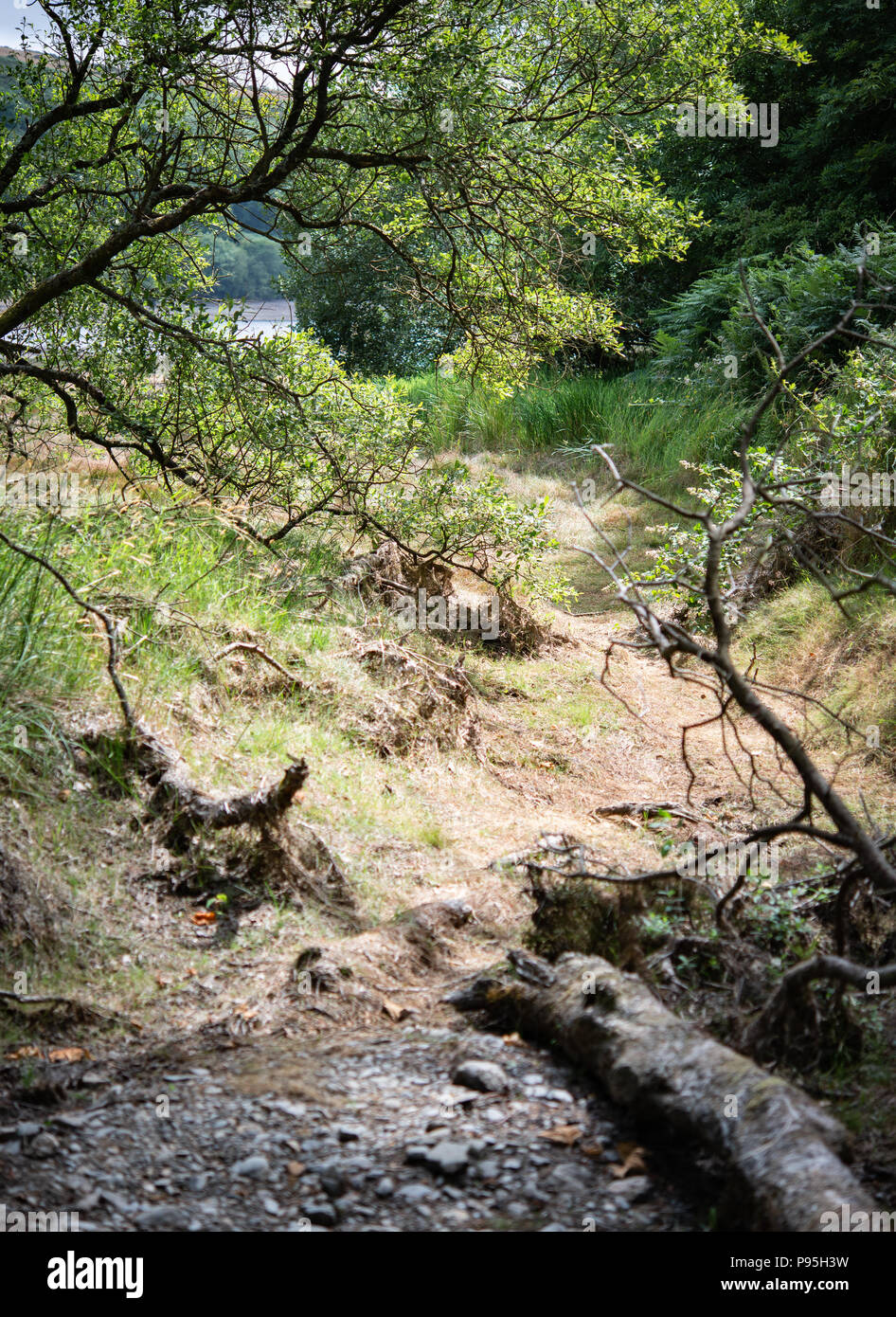 Dried stream at Injebreck reservoir on the Isle Of Man Stock Photo - Alamy