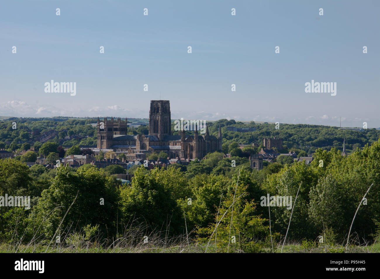 Scenic landscape shot of Durham Cathedral surrounded by trees Stock ...