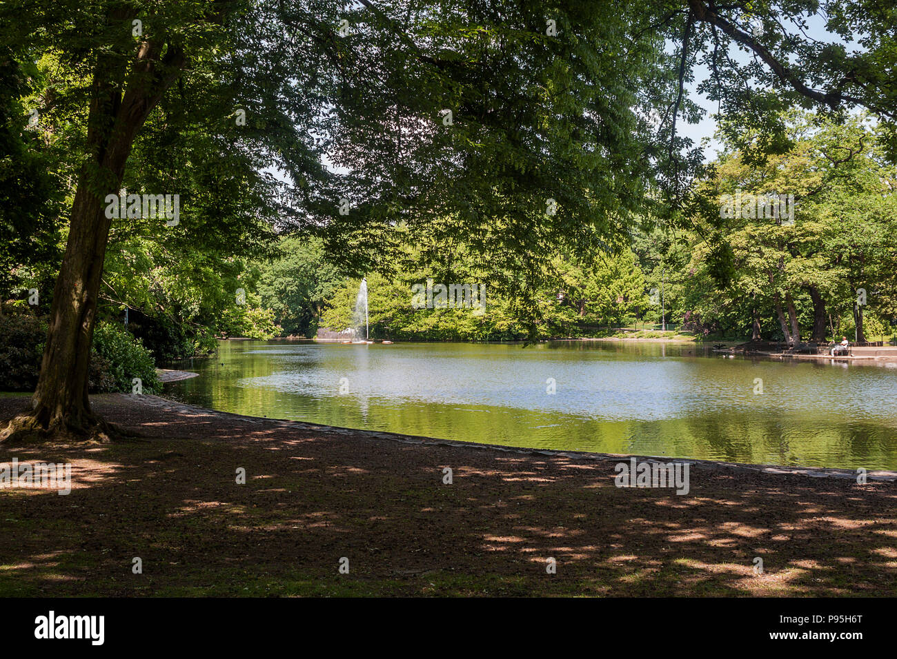 Beautiful park scene in public park with green grass field, green tree ...