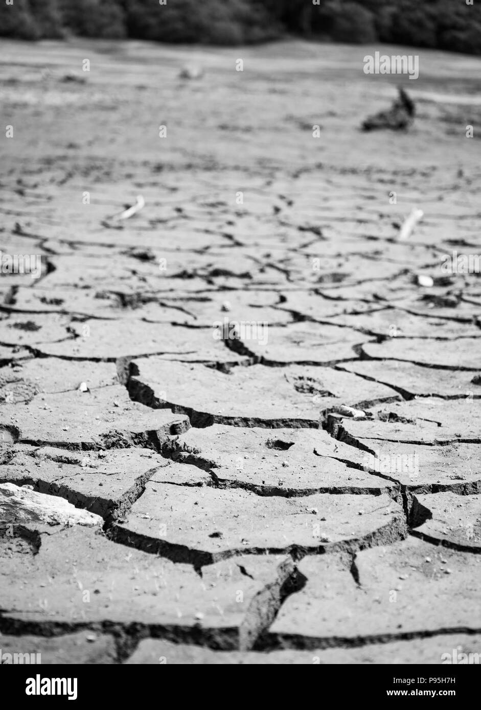 Black bottom mud hi-res stock photography and images - Alamy