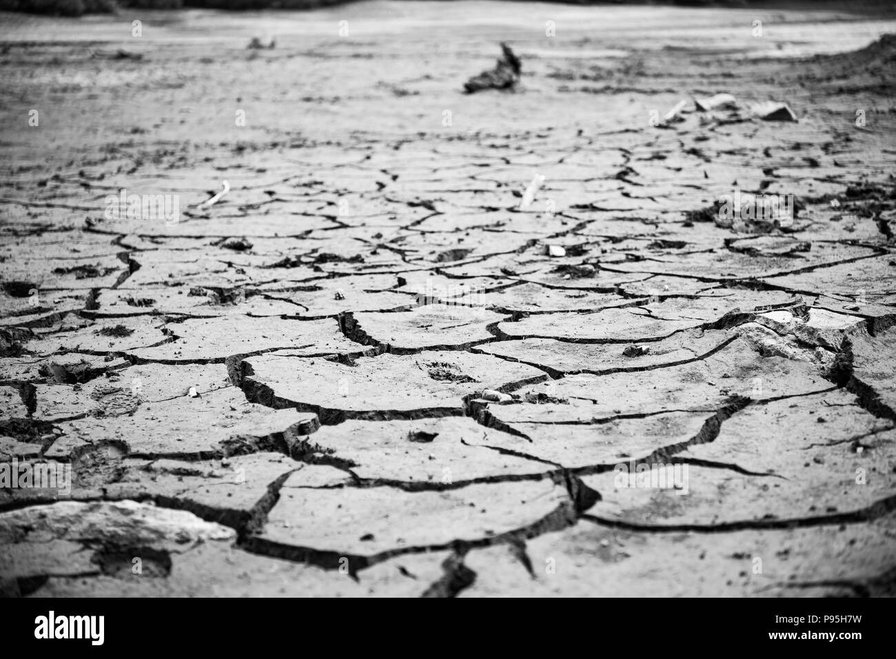 Black bottom mud hi-res stock photography and images - Alamy