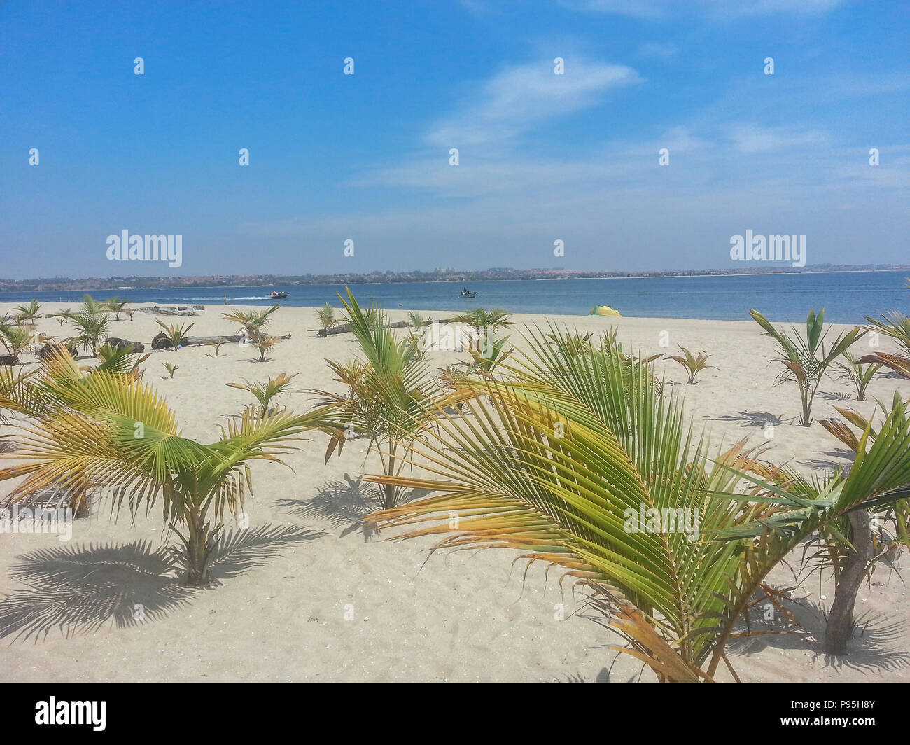 tropical beach with palm trees, sand, ocean water with a boat and blue ...