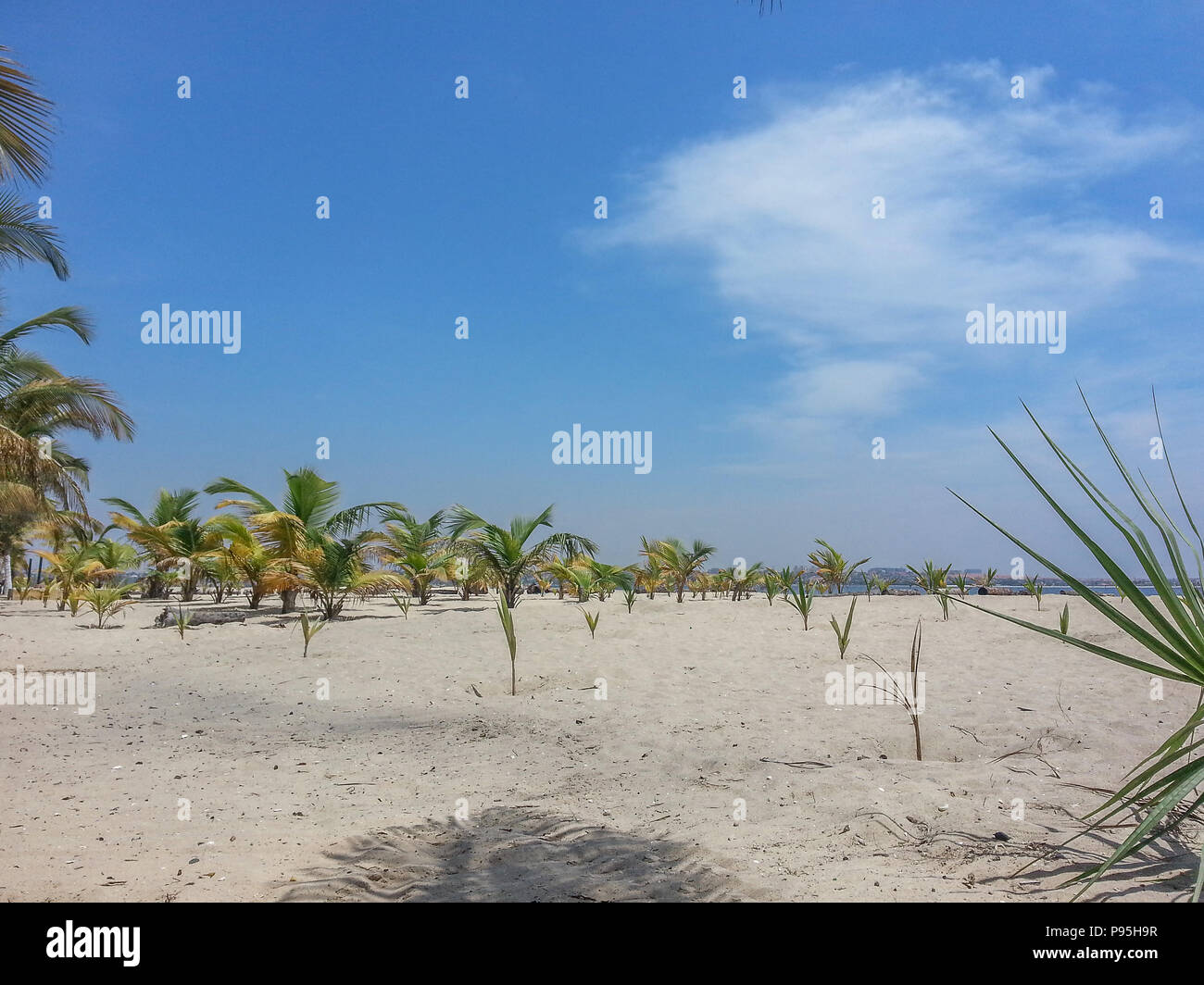 Luanda angola beach hi-res stock photography and images - Alamy