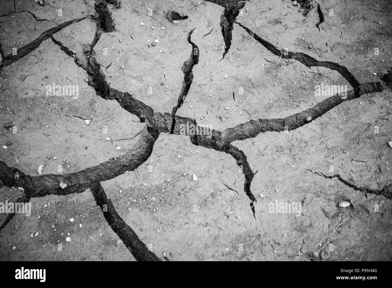 Black bottom mud Black and White Stock Photos & Images - Alamy