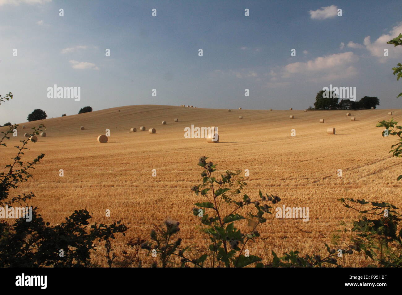 Mound of hay hi-res stock photography and images - Alamy