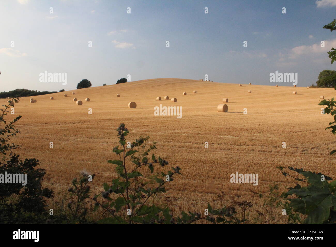 Mound of hay hi-res stock photography and images - Alamy