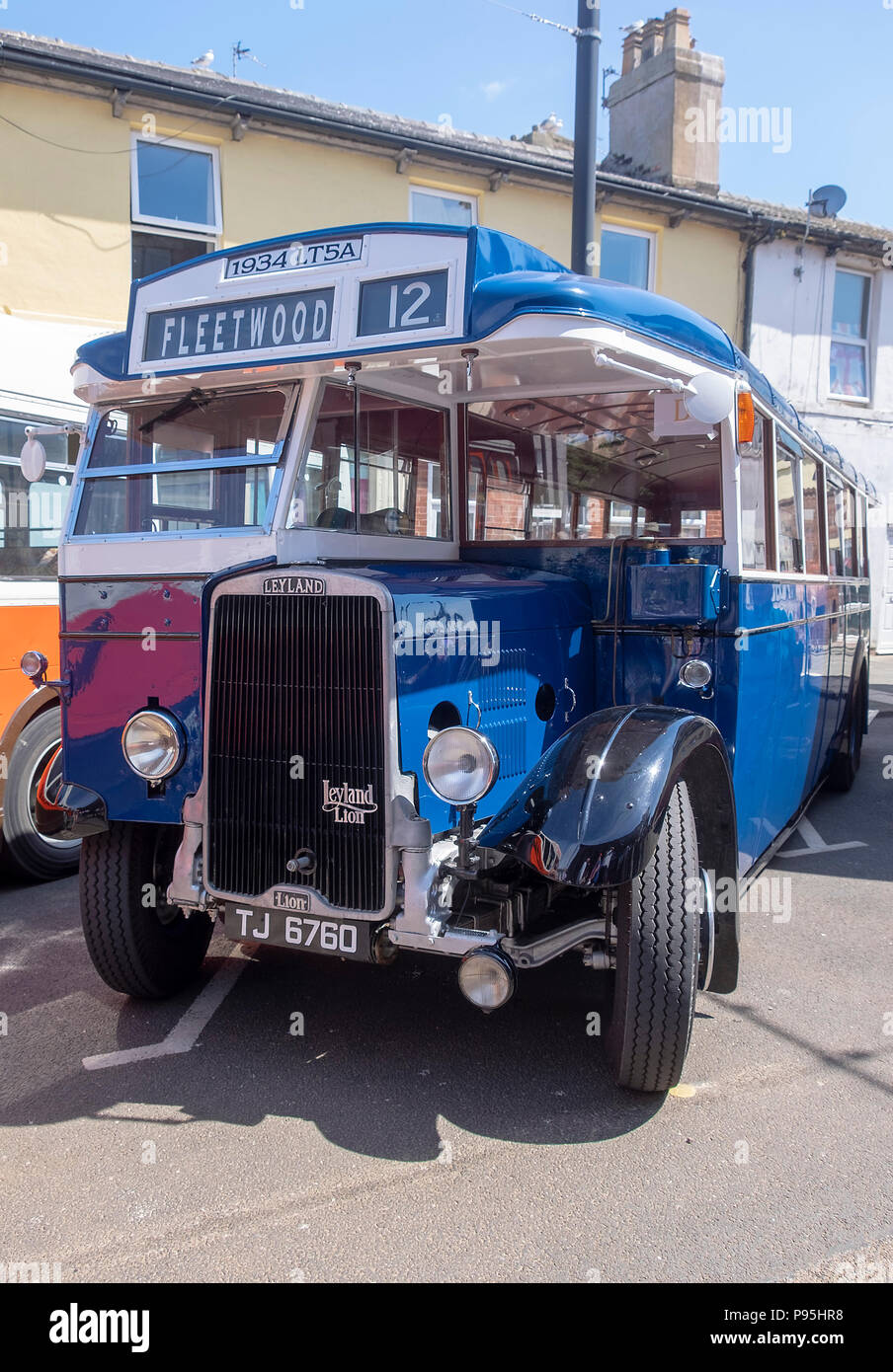 Vintage buses on display at vintage bus rally Stock Photo - Alamy