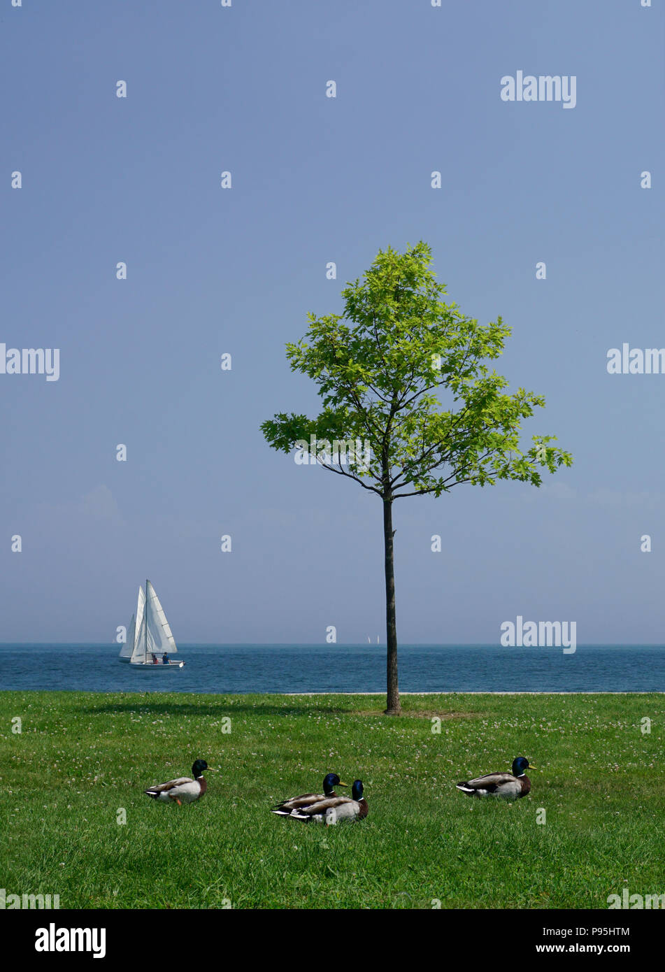 The great montrose hi-res stock photography and images - Alamy