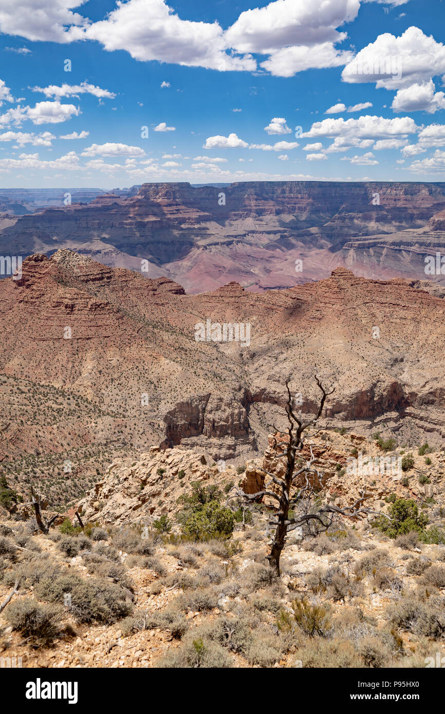 Grand canyon nature hi-res stock photography and images - Alamy