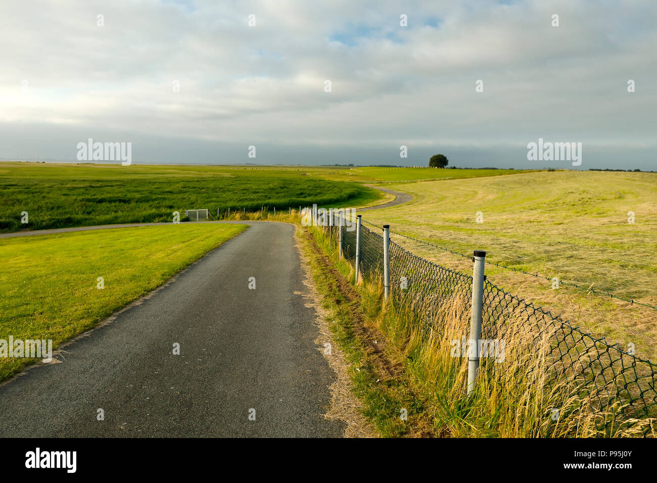 view on Dutch farmland in summer Stock Photo - Alamy