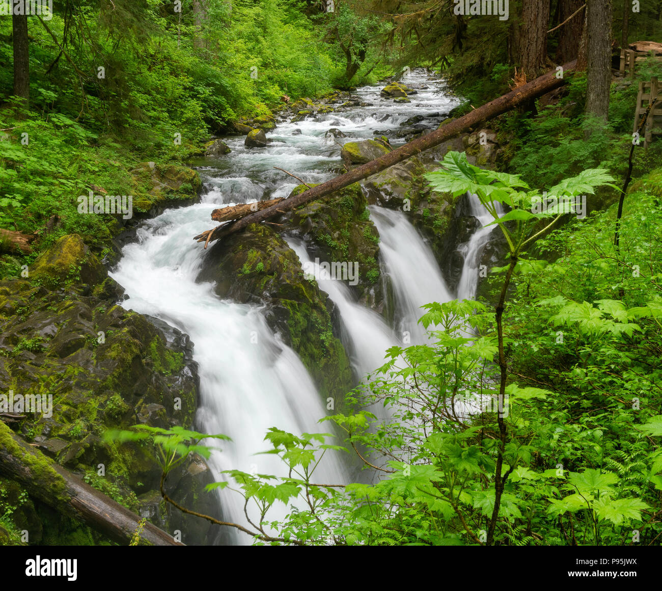 Sol duc hi-res stock photography and images - Alamy