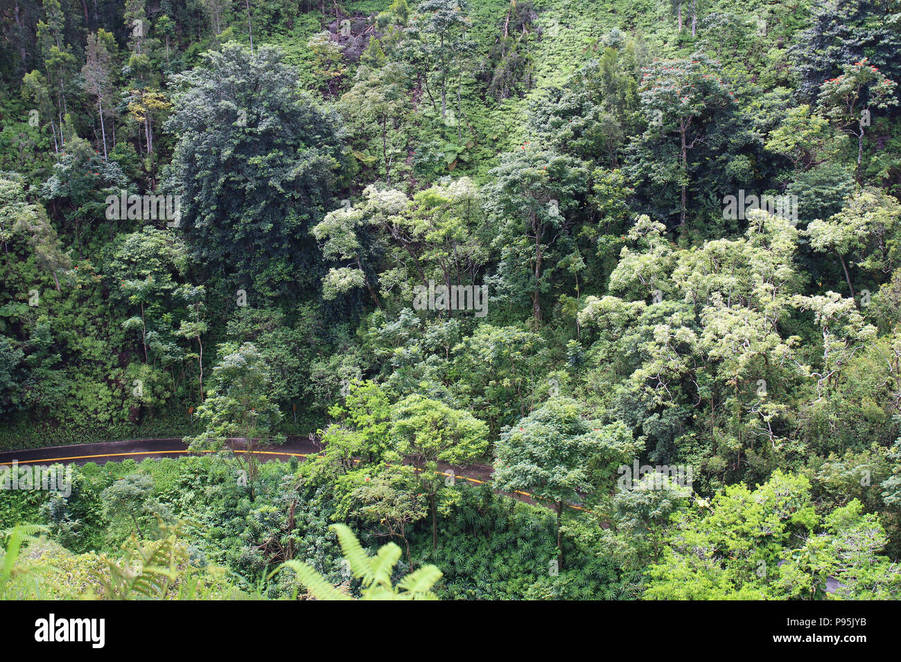 High atop a cliff, overlooking a rain forest and Hana Highway in Haiku ...