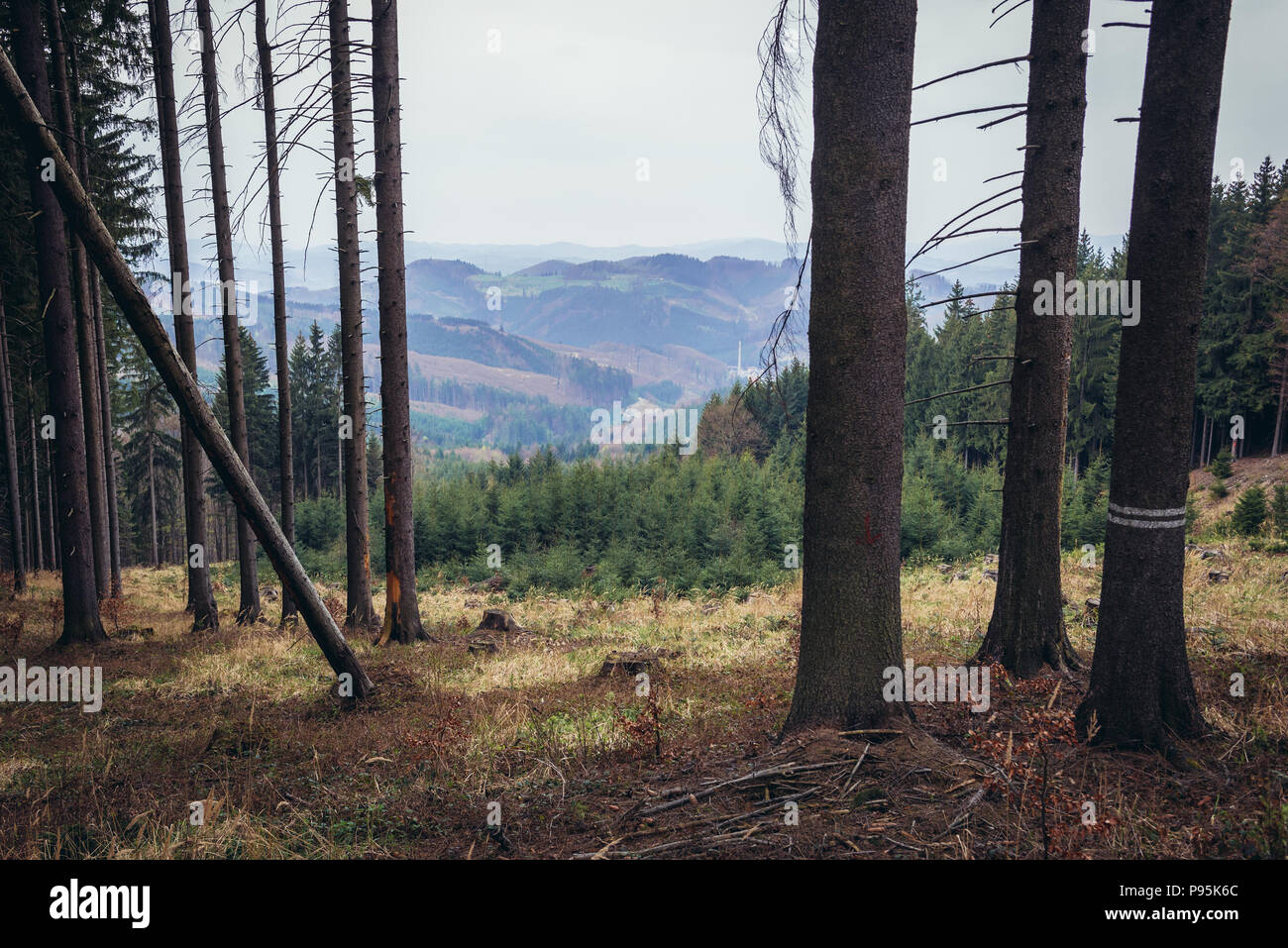 View from forest around Cab Mountain near Vsetin city in Moravia region ...