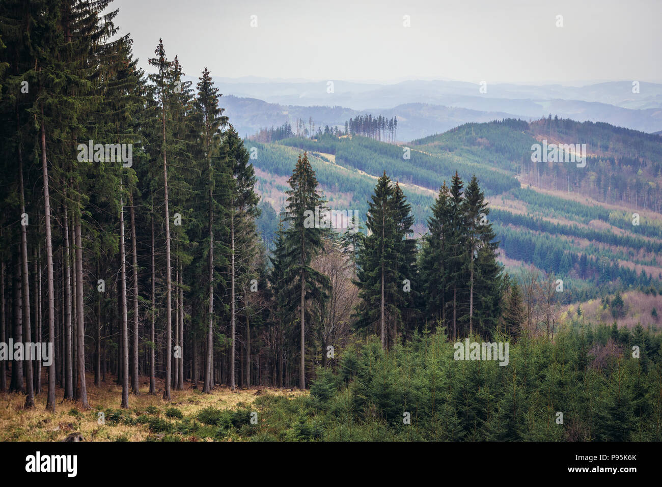 View from hills around Cab Mountain near Vsetin city in Beskids ...