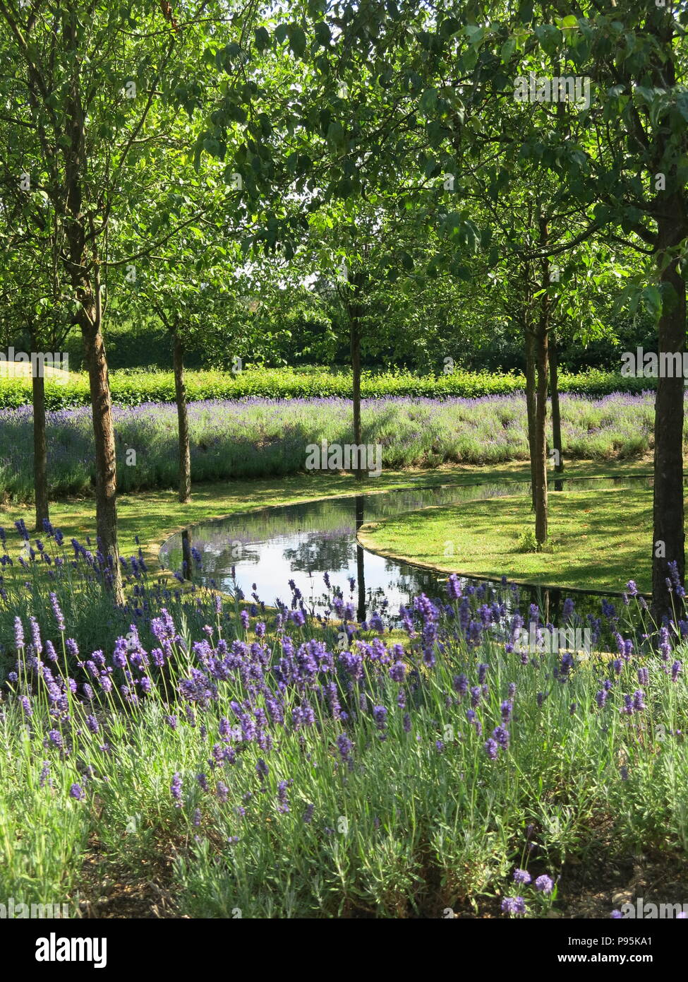 The contemporary Lynn Garden with gently flowing water channels round ...