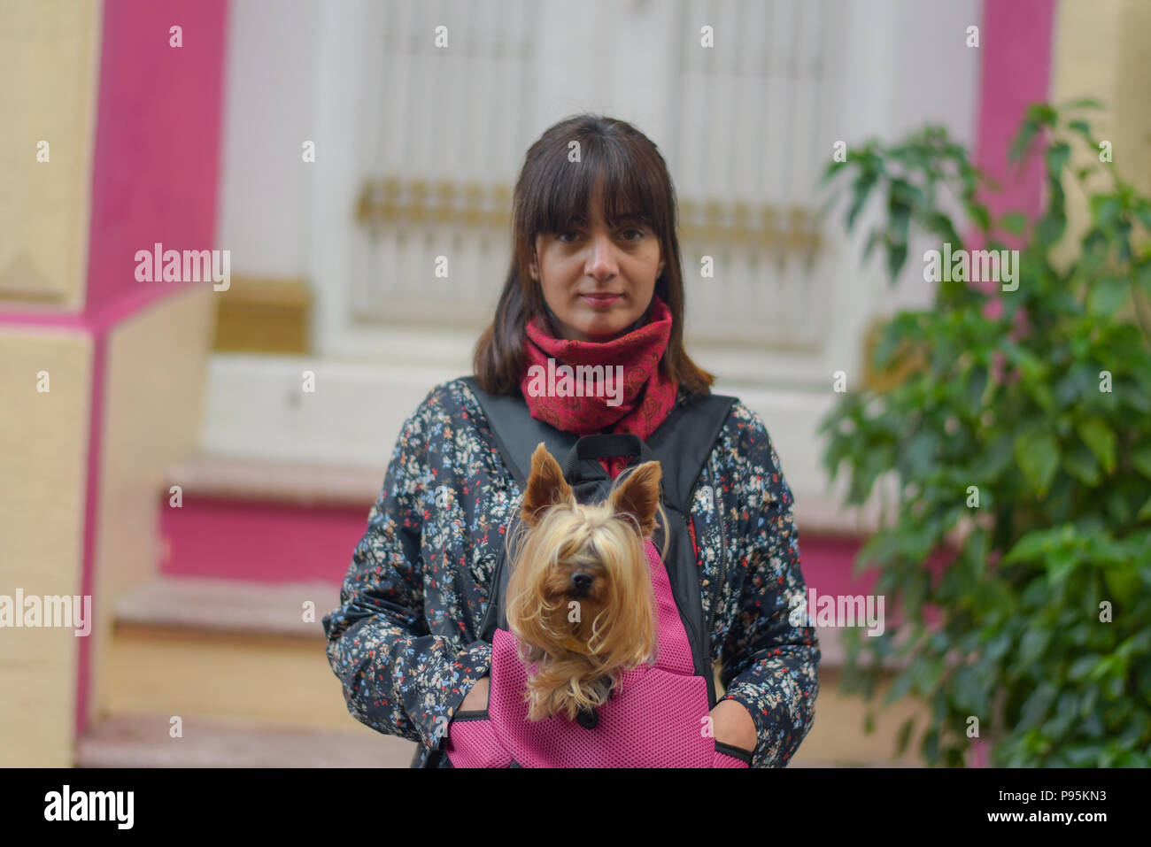 Girls Carrying A Dog High Resolution Stock Photography and Images - Alamy