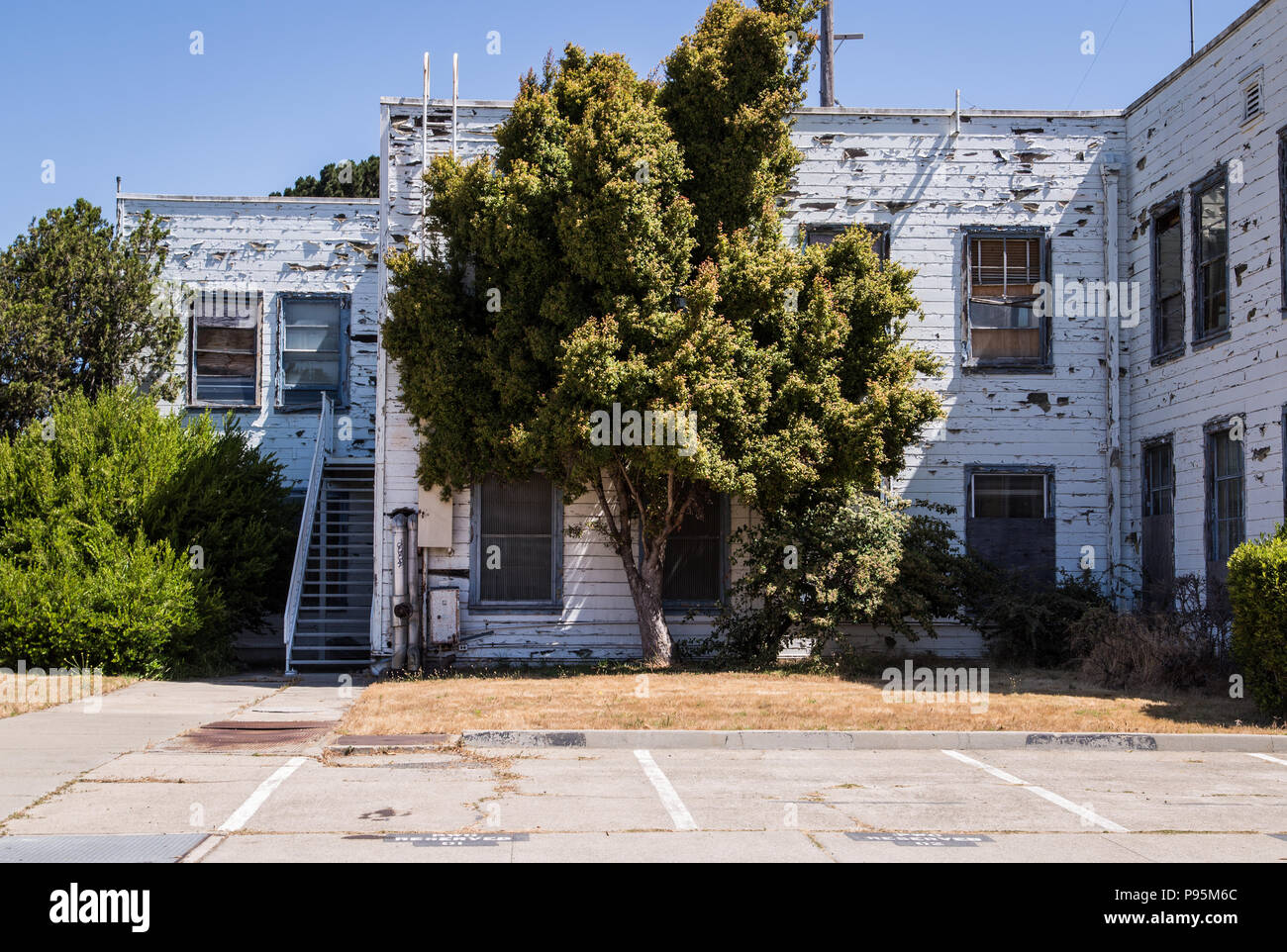 Trees covering the decaying walls of an abandoned Naval Air Station in ...