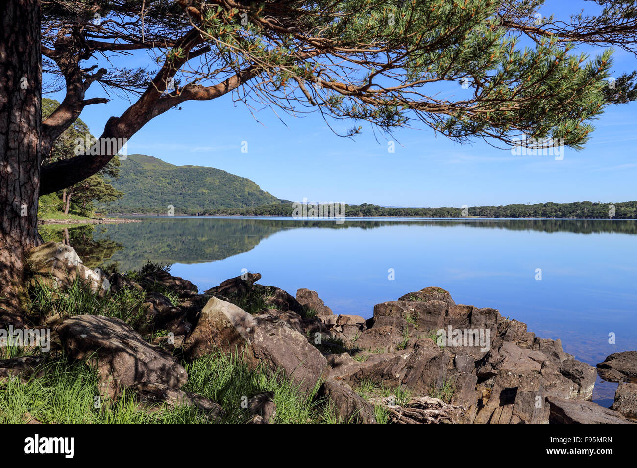 View of a beautiful lake and surrounding countryside in Killarney ...