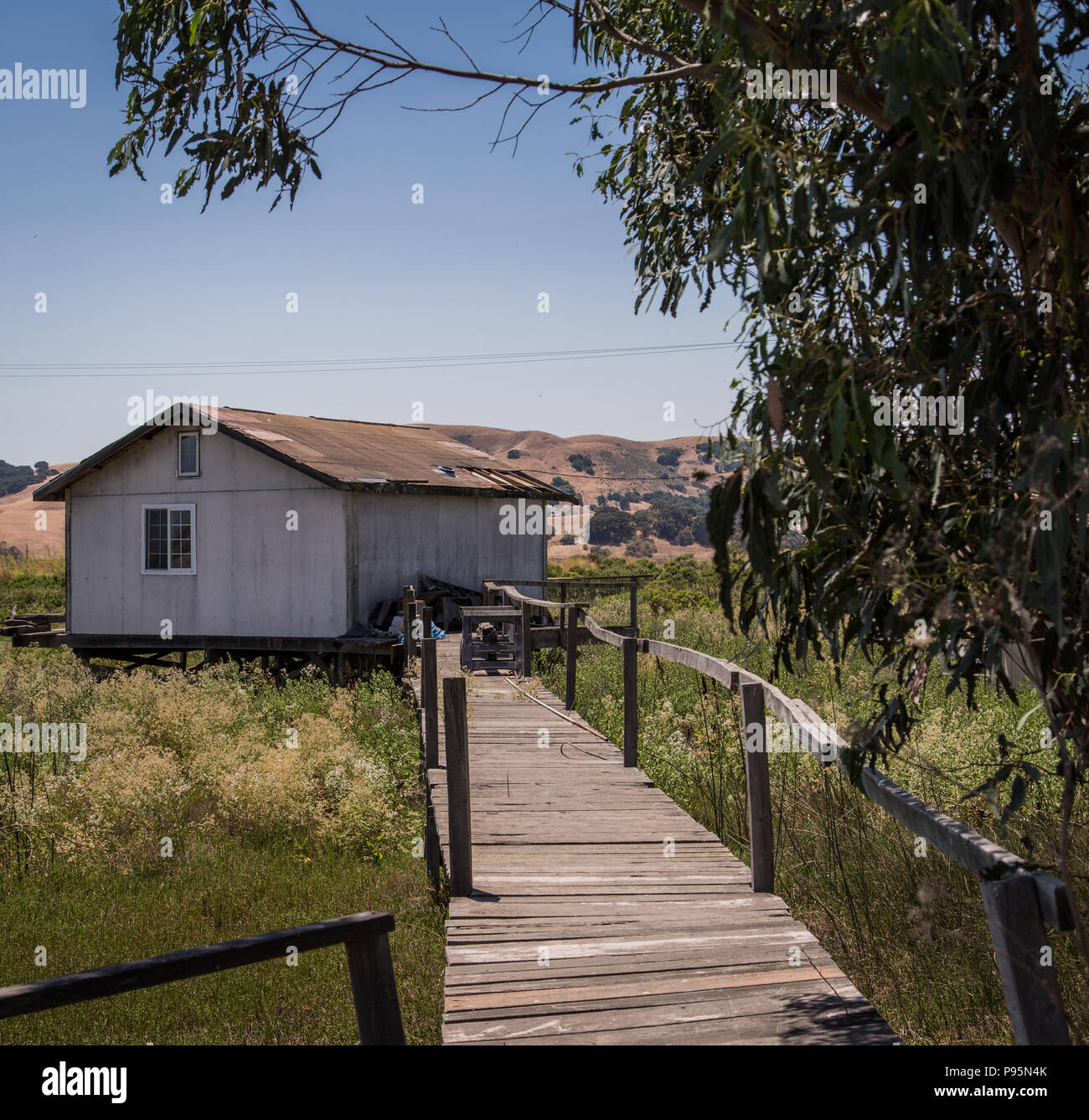 A wooden walkway leading to a small wooden house in the abandoned ghost ...