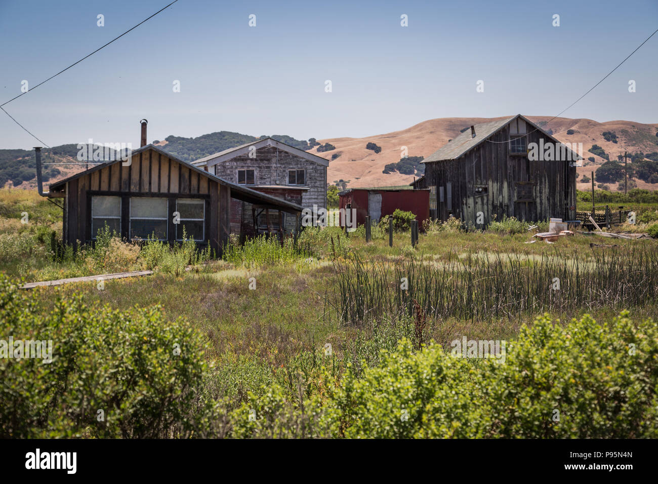 Wingo california hi-res stock photography and images - Alamy