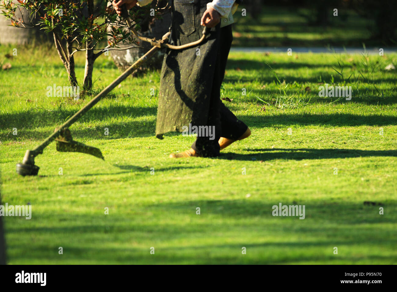 The gardener is weeding Stock Photo - Alamy