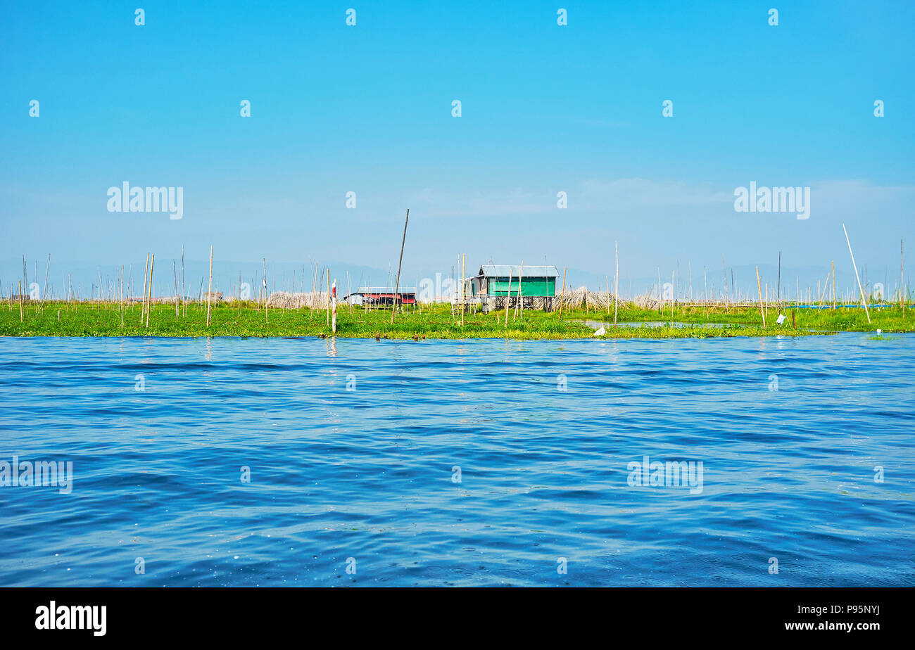 Floating wetland garden hi-res stock photography and images - Alamy