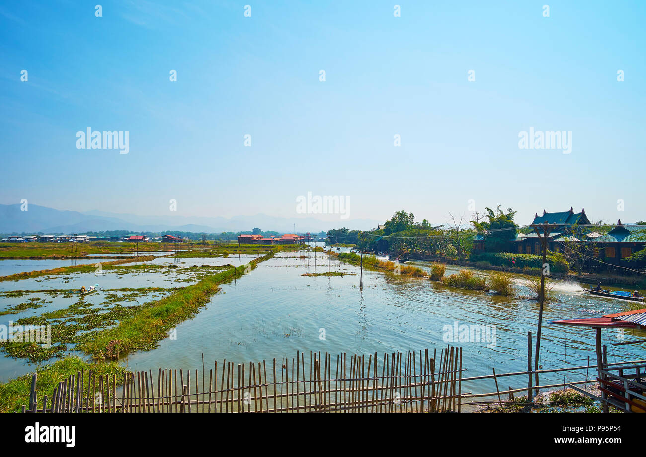 Lotus farms are important agricultural sector for the villages on Inle ...